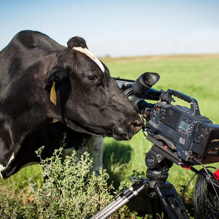 Agriculture Photography | Agricultural Photography — Richter Studios